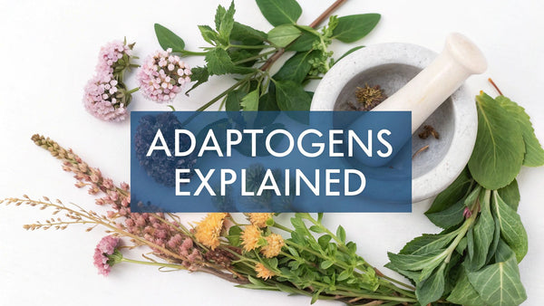 What Are Adaptogenic Herbs And How Do They Work - Peak Performance